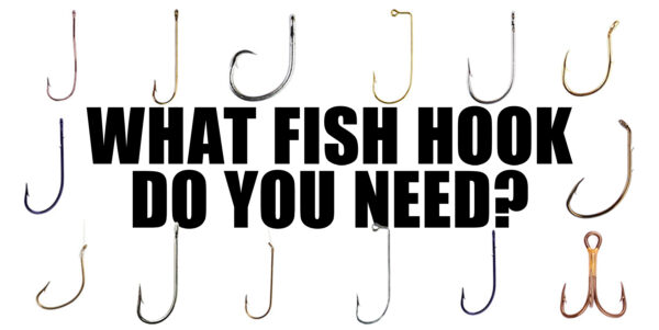 What Fish Hook Do You Need? | Eagle Claw